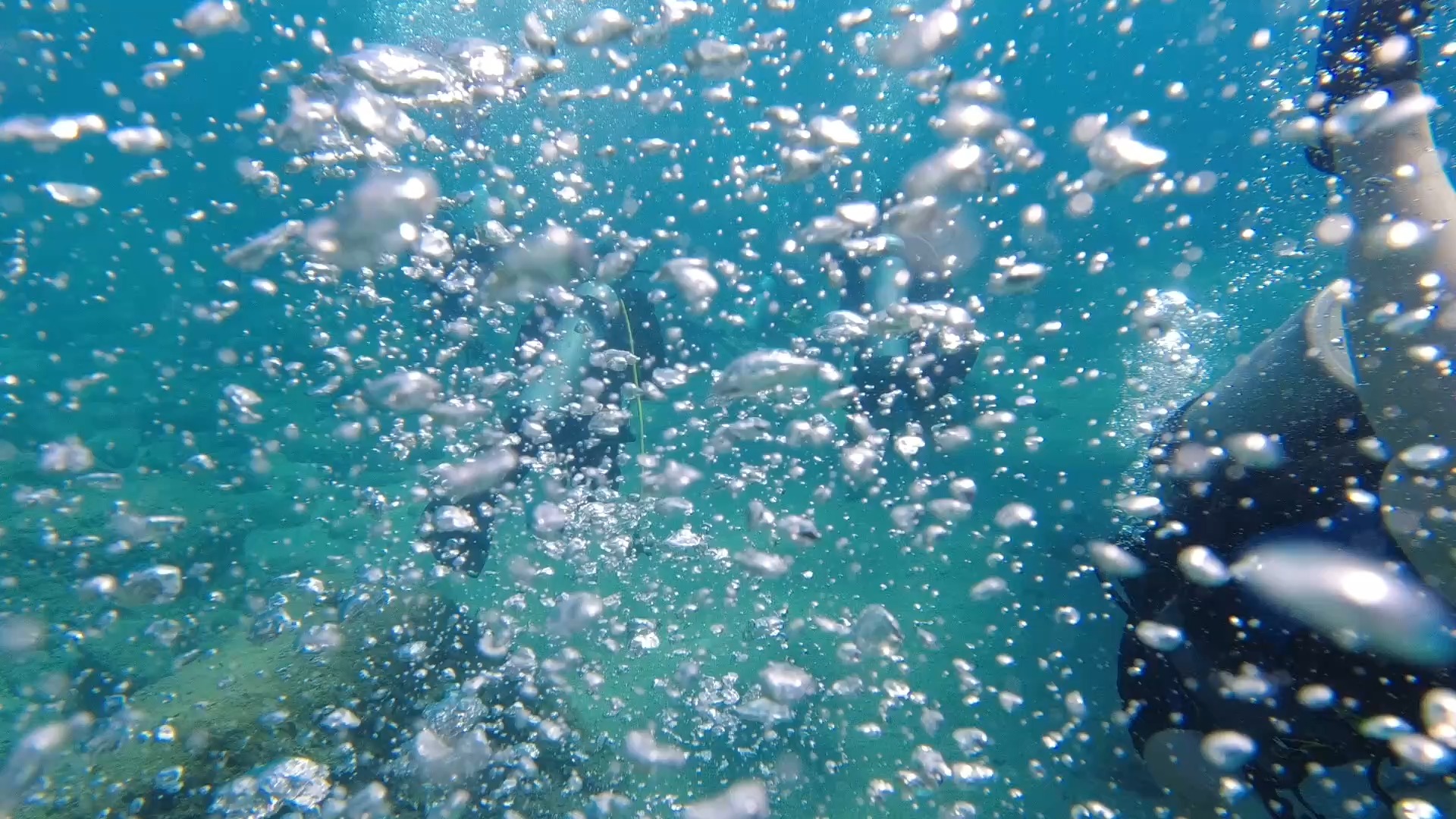 Diver Tracker Object Detection Dataset By Aura