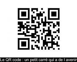 qr-code-seg Instance Segmentation Model by qrcode