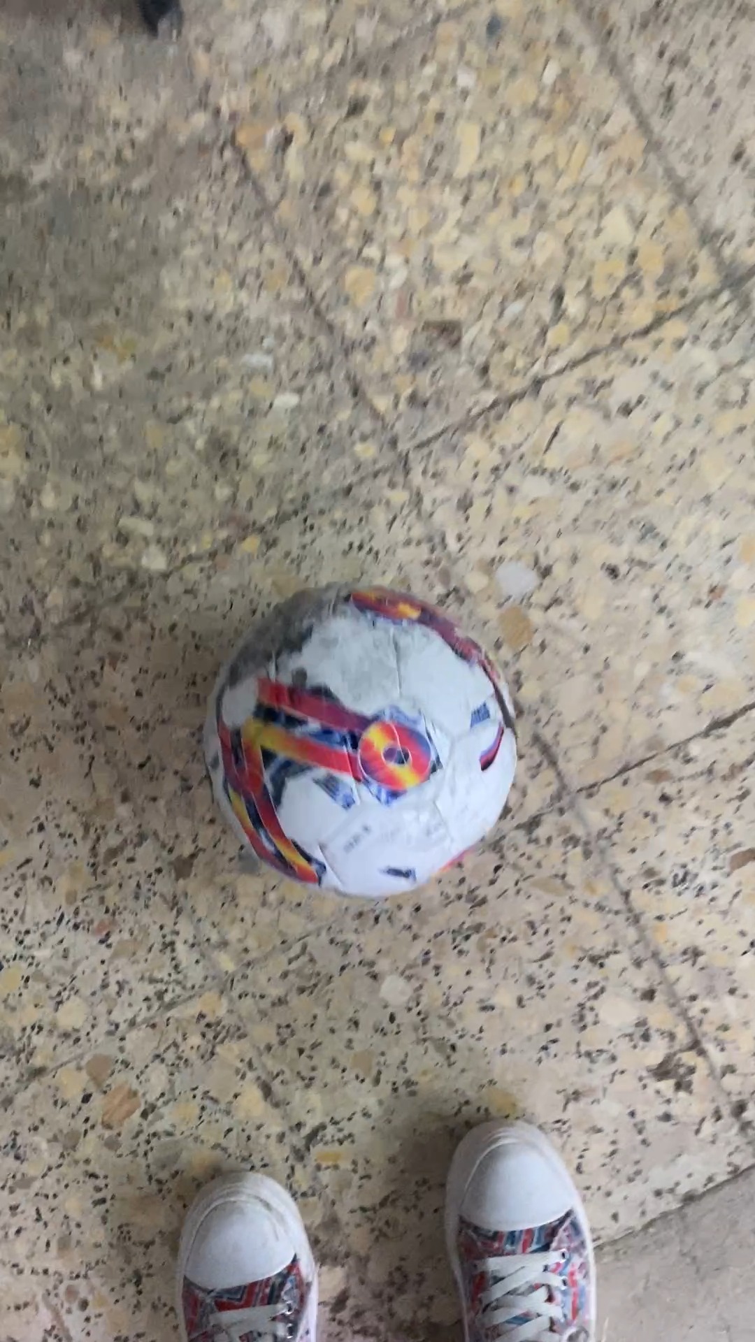 yolov12 deneme - Roboflow Universe