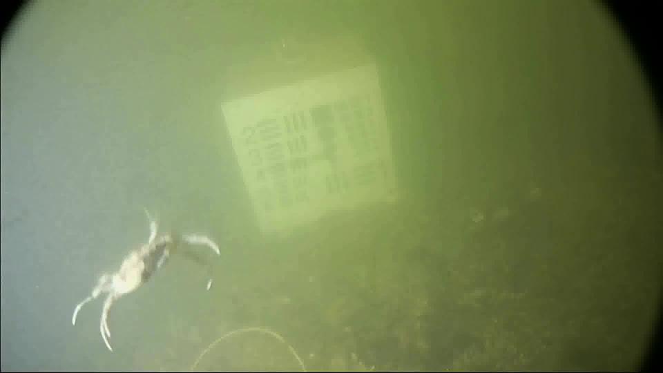 Underwater Object Detection Brackish Dataset Object Detection Dataset