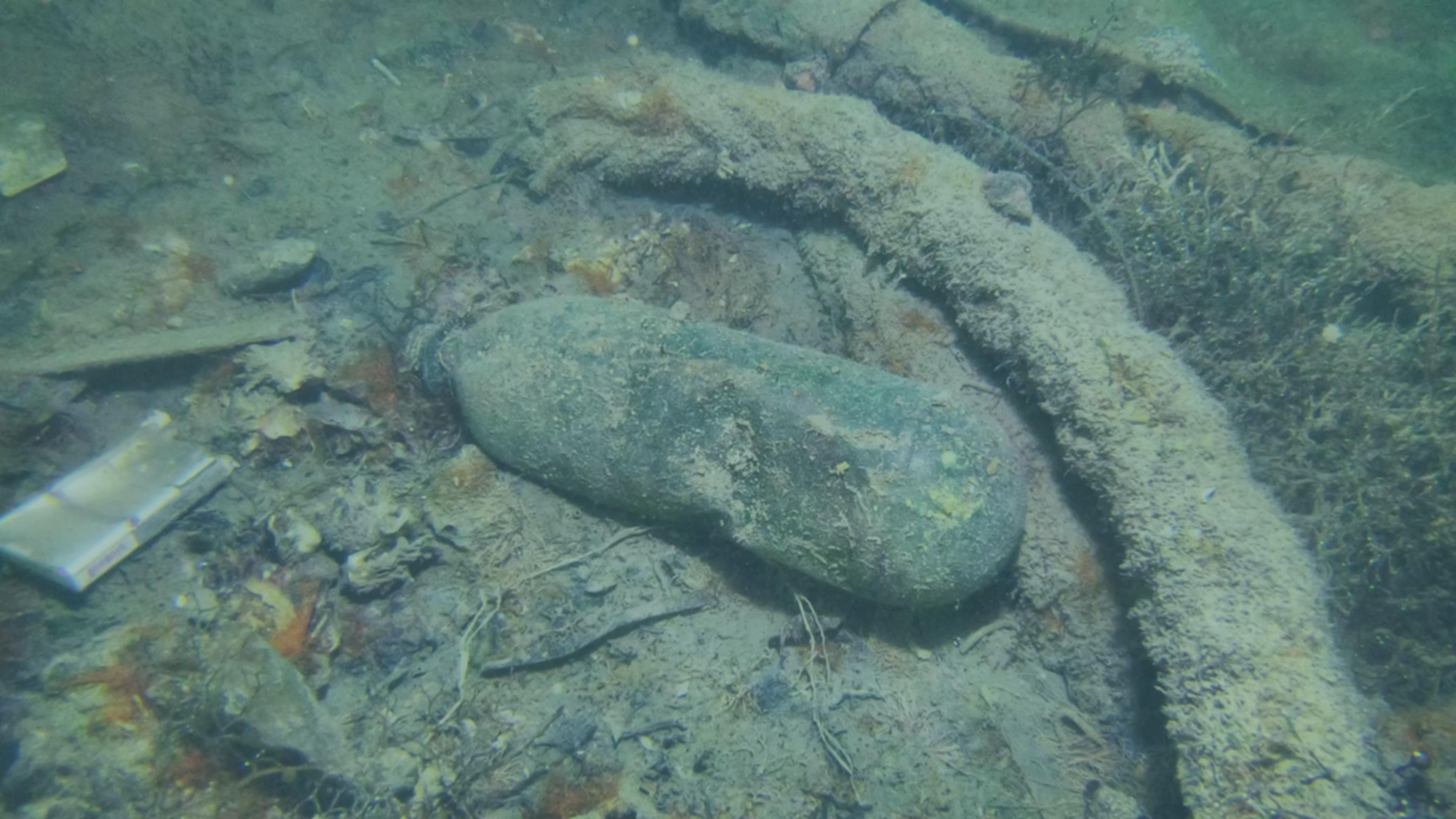 Ocean trash Object Detection Model by tofamplitude1111