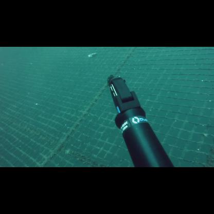 Fish Detection Object Detection Dataset and Pre-Trained Model by Madhav ...