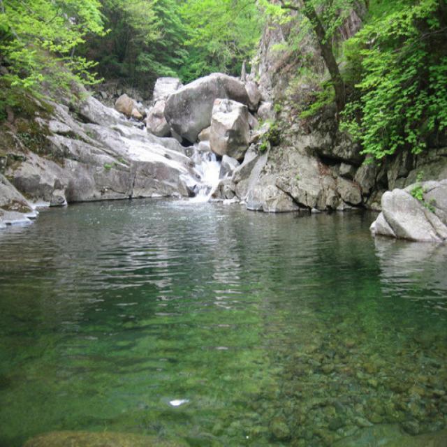 1129 Object Detection Dataset by together