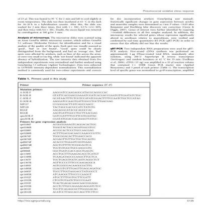 Table Detection Object Detection Dataset and Pre-Trained Model by data science