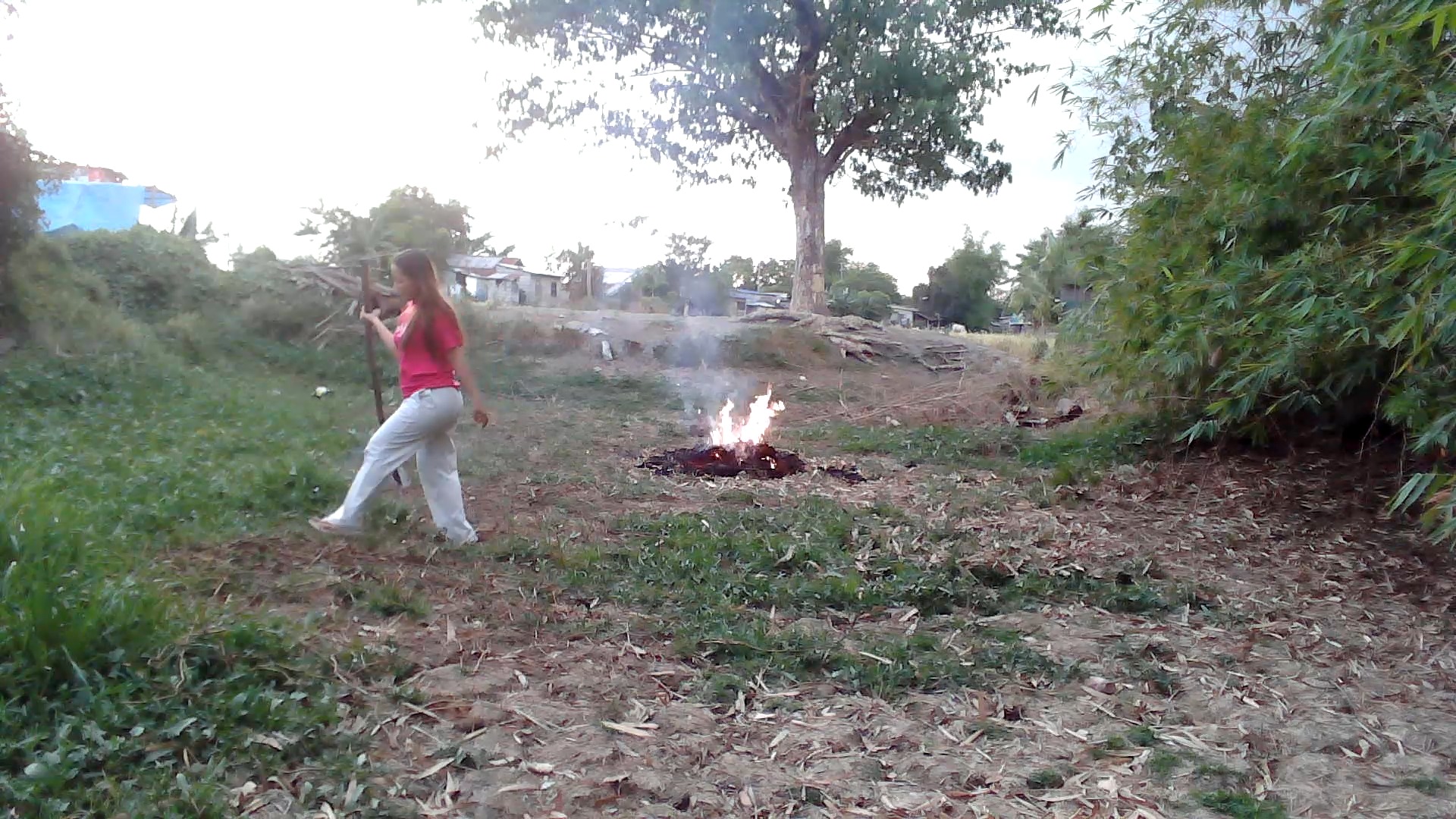 Fire and Smoke Segmentation Instance Segmentation Dataset by Bennor Pineda