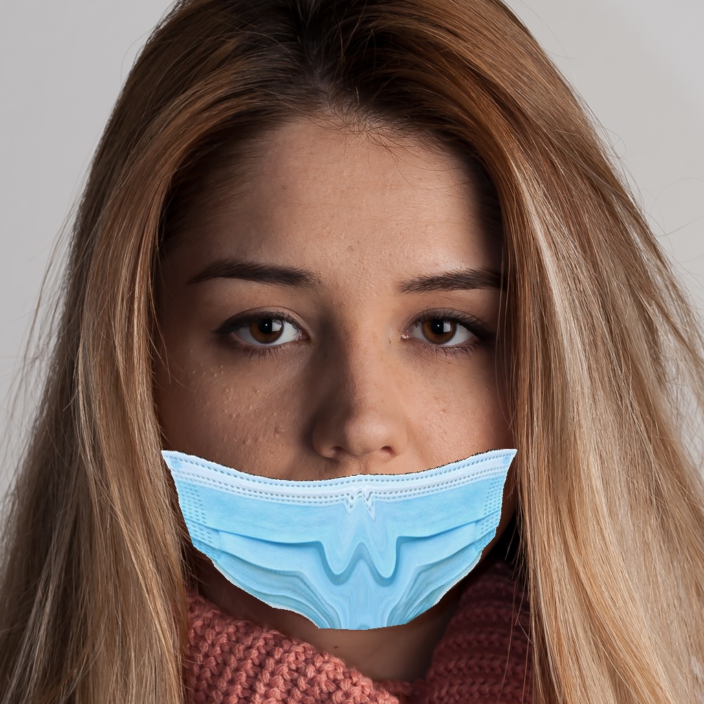 Real-time Face Mask Detection and Validation System Dataset Object ...