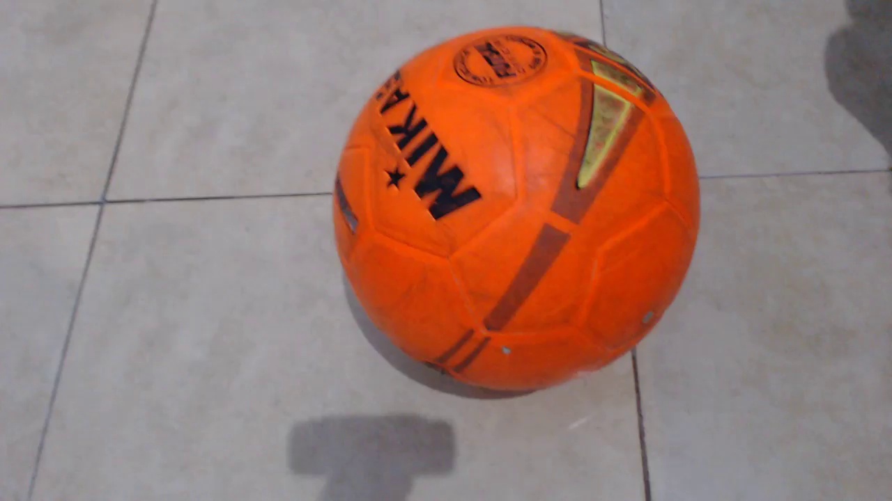 Ball2 Object Detection Dataset And Pre Trained Model By Muh Faiz Fauzan F44120028