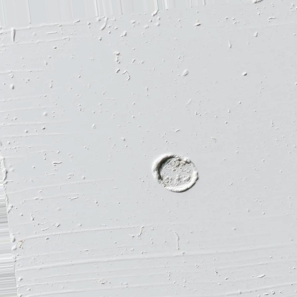 Paint Defects Object Detection Model by car paint