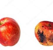 bina sarana informatika (bina-sarana-informatika-x4qxz) - Roboflow Universe