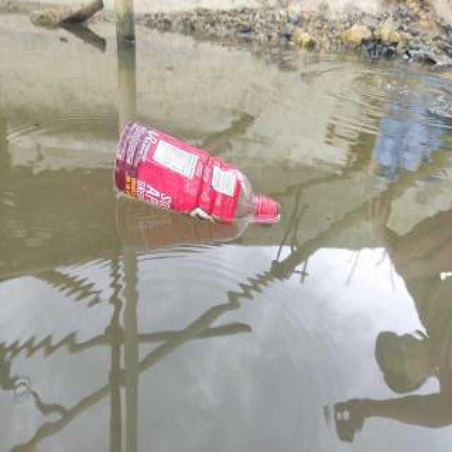 waste-sorting-lite Computer Vision Dataset by Research