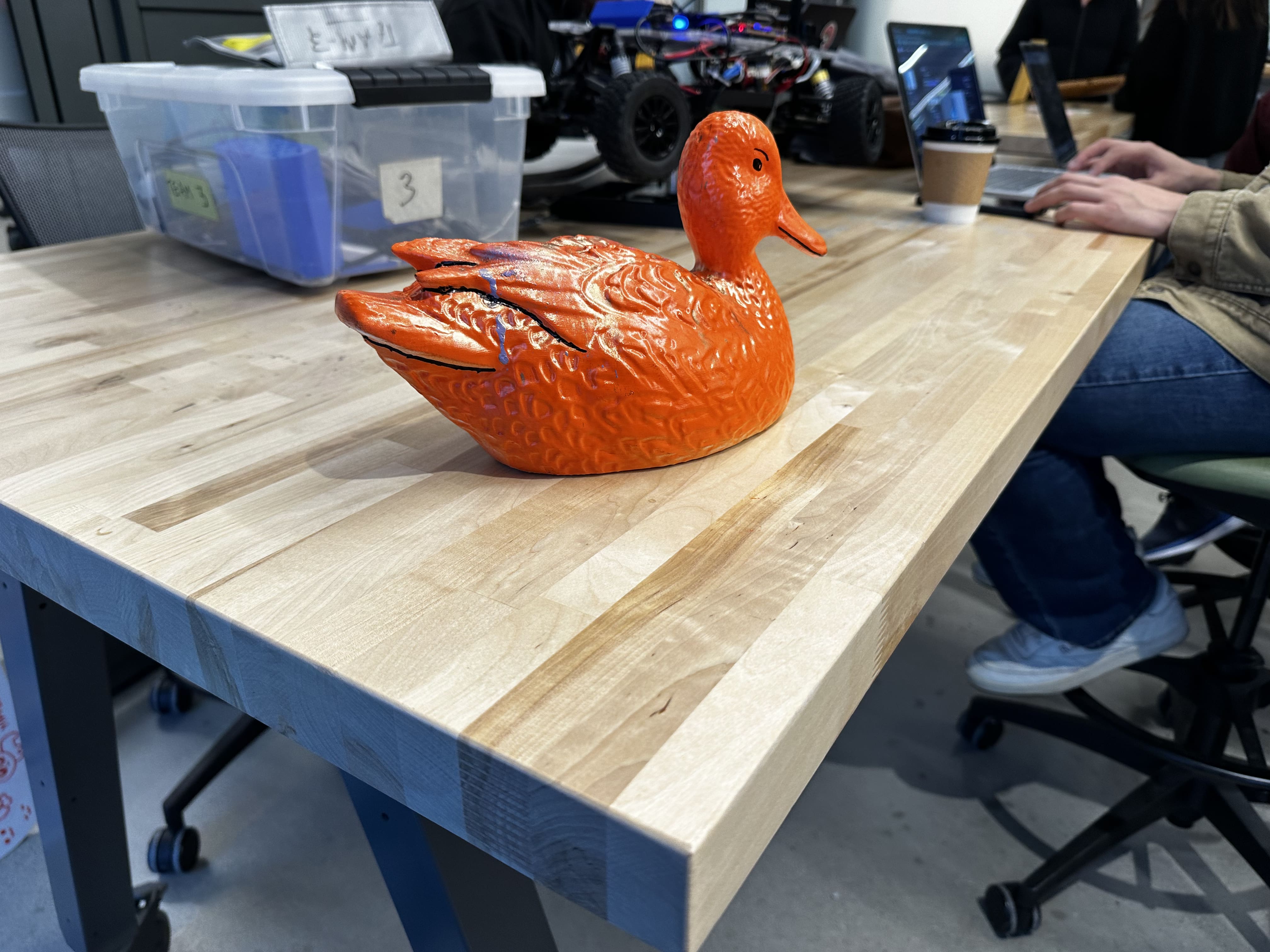 Duck Locator Object Detection Model by Projects