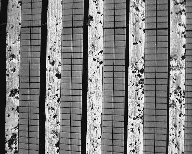1 Classification Model By Heriot Watt University