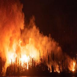 fire no fire classification Classification Model by National University ...
