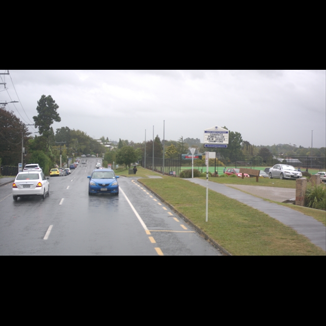 Tree Detection Project Object Detection Dataset By The University Of Waikato