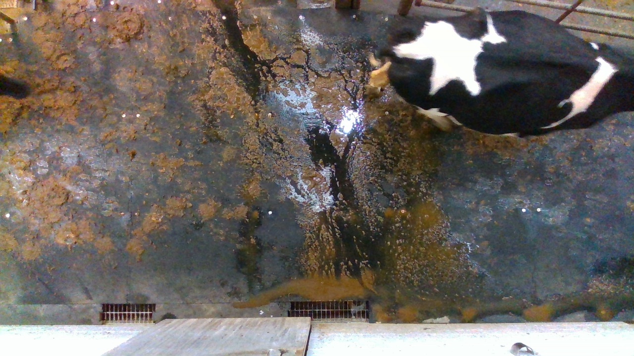 Proyecto Object Detection Dataset V1 2022 08 22 9 24pm By Yolo V5