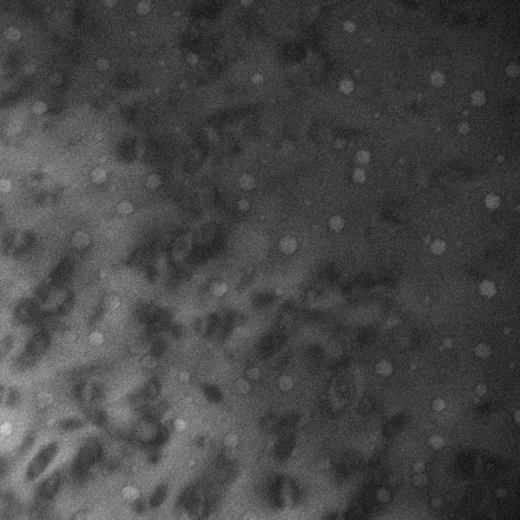 void_train Instance Segmentation Dataset by Cavities and Loops