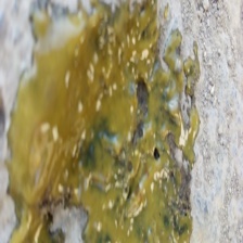 CHICKEN[YOLO] Instance Segmentation Dataset and Pre-Trained Model by ...