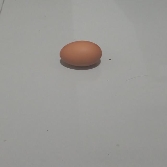 Uas Computer Vision Object Detection Dataset And Pre Trained Model By Stiki