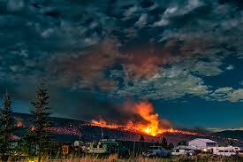 new_merged_dataset Object Detection Dataset by javeria