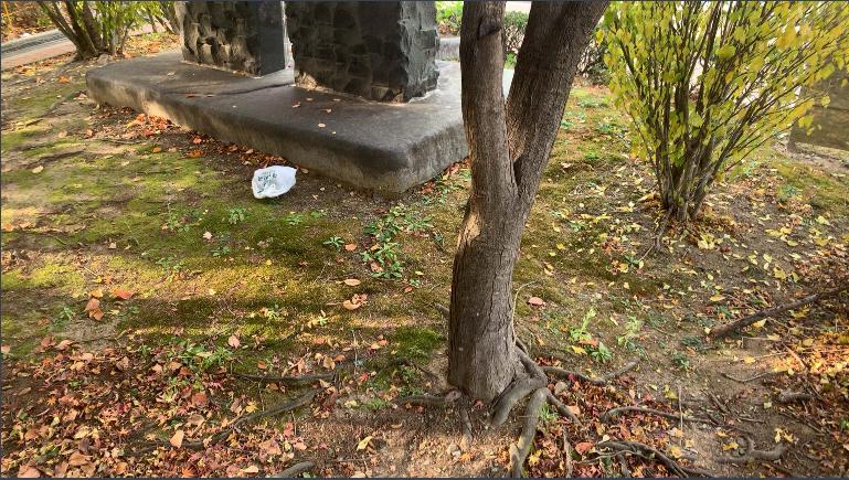 potholes_garbage Object Detection Dataset by slamat