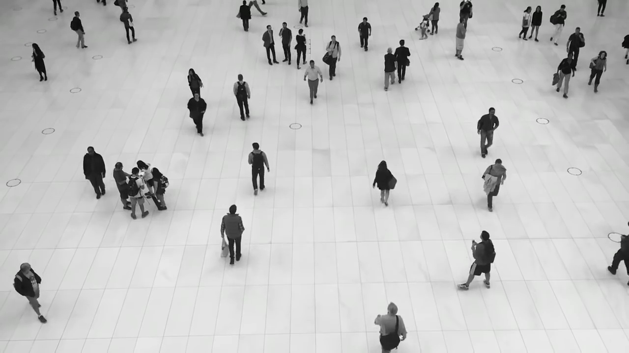 Social Distancing Detection Object Detection Model by cinema