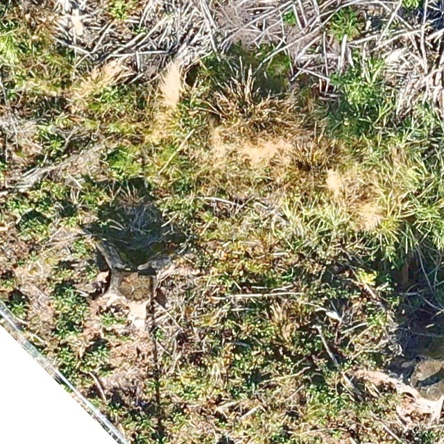 defores - Roboflow Universe