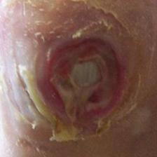 ADPM V3.3 Classification Classification Model by ADPM