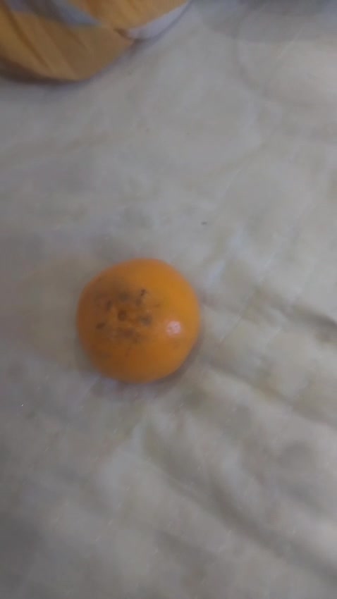 HAMNA (hamna-frewc) - Roboflow Universe