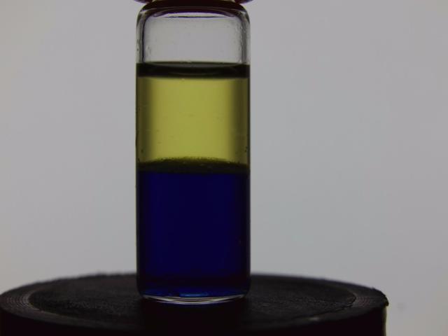 Biphasic Image Analysis Instance Segmentation Model by abbvie