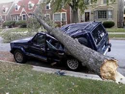 car damage detection Instance Segmentation Model by beena