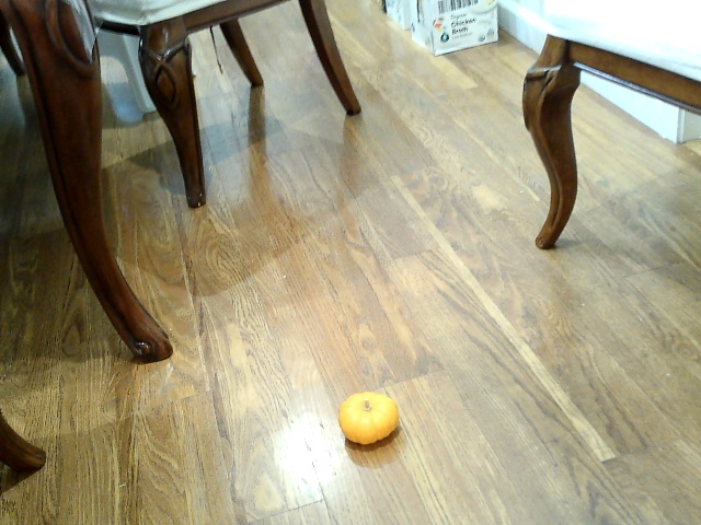 Pumpkins Object Detection Dataset by FLL Labelling