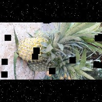 Pineapplev1 (pineapplev1-ihktt) - Roboflow Universe