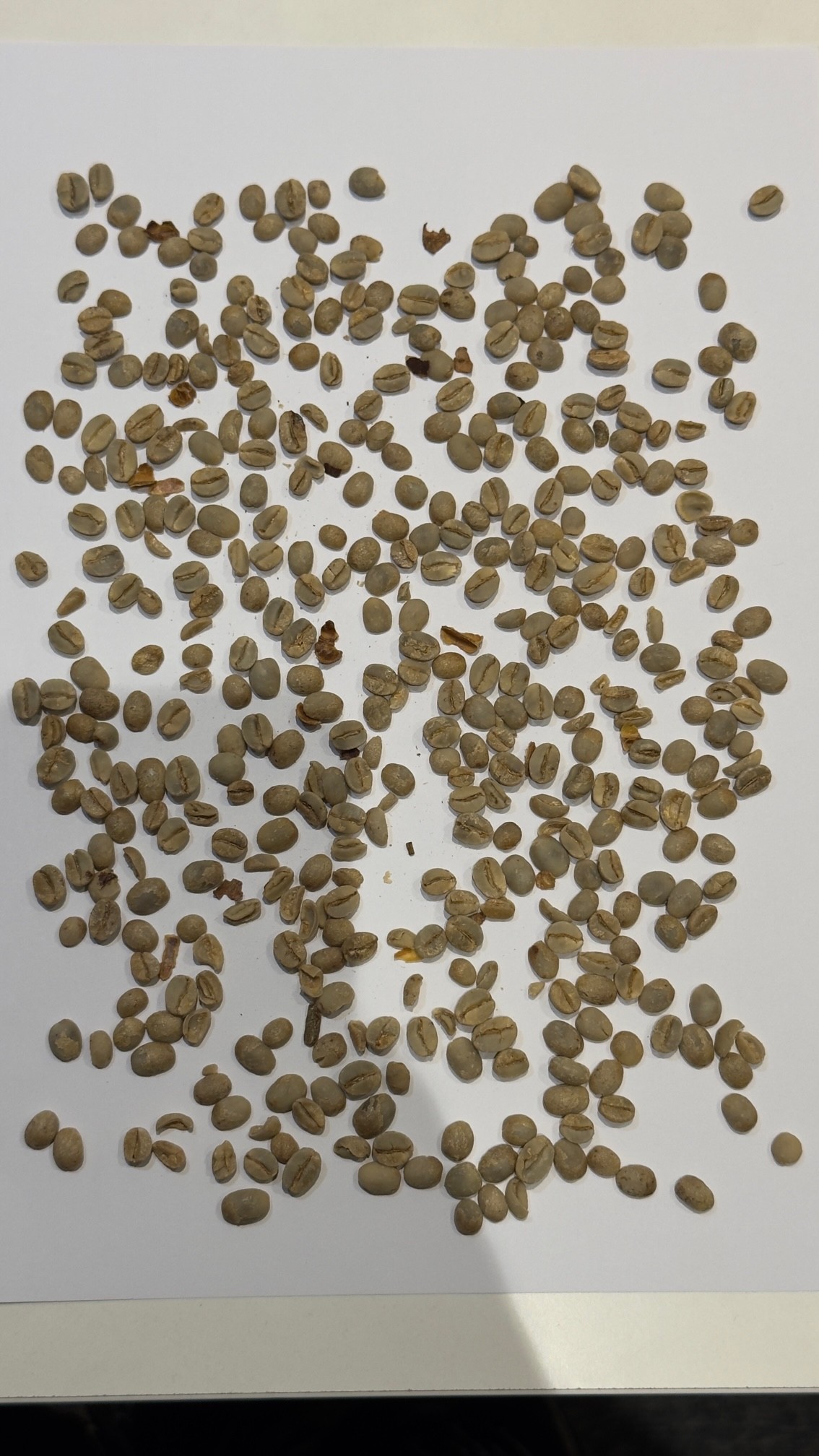 coffee beans dataset Object Detection Dataset by Fatimah Abdullah workspace