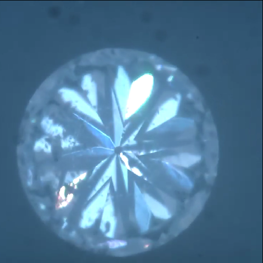 D-short Classification Dataset and Pre-Trained Model by Dshort