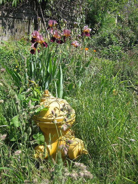 Coco Object Detection Object Detection Model By Joshuas Projects 1615