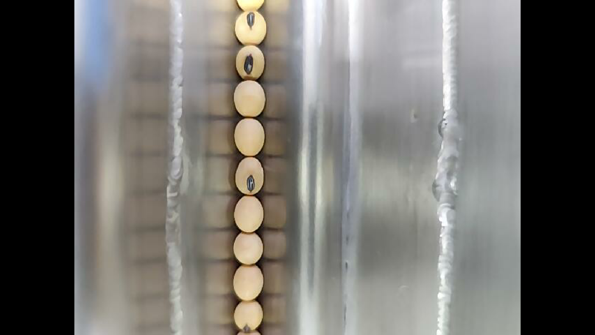 Soja_v4 Object Detection Dataset and Pre-Trained Model by DRM