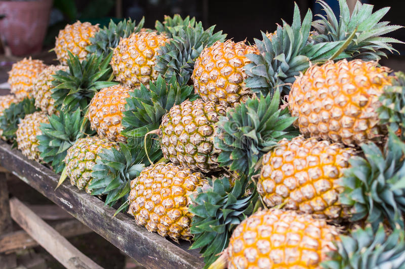 Alexander Baumann (alexander-baumann-azajl) - Roboflow Universe