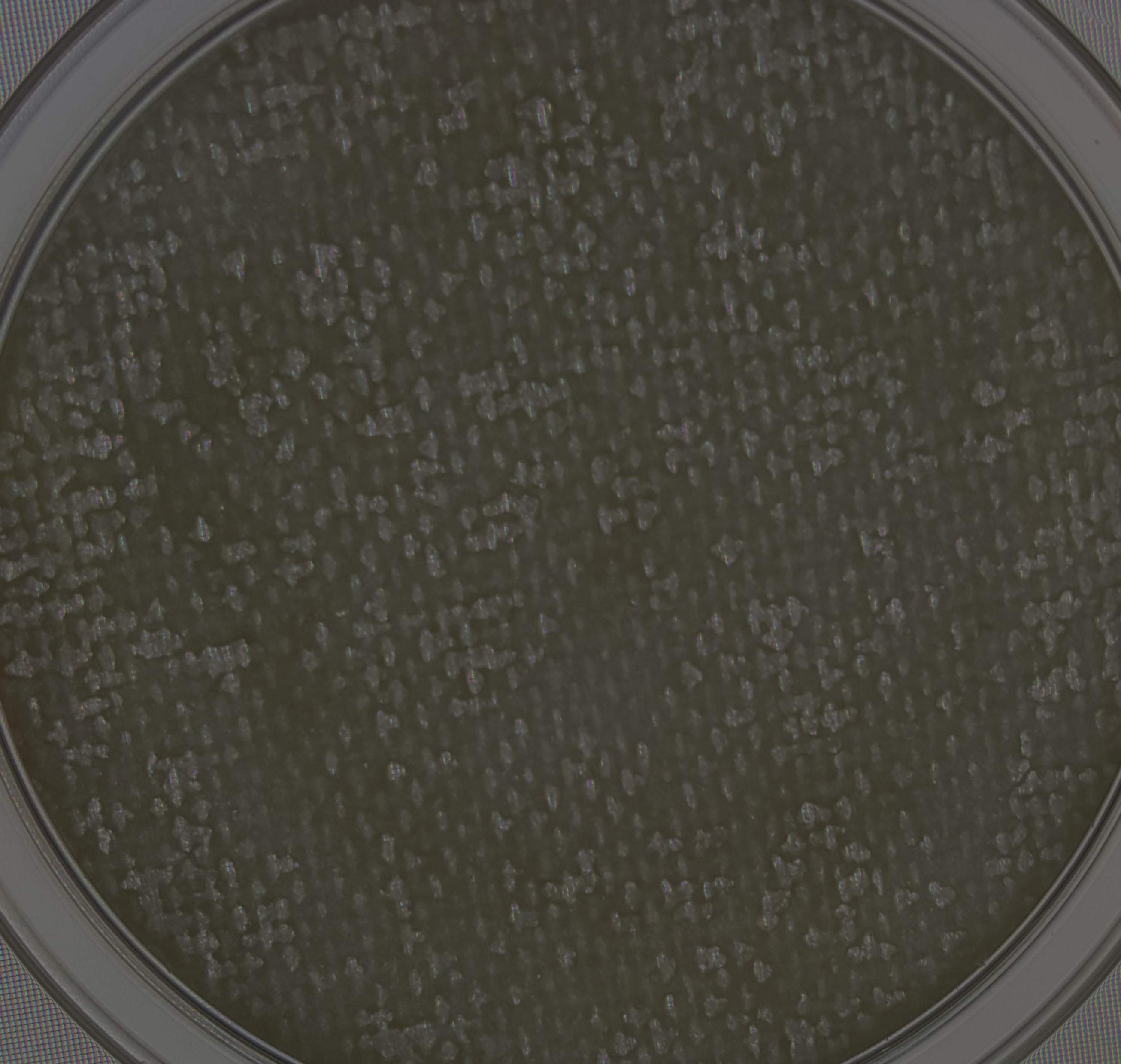 Valentina Object Detection Model By Pakkapon