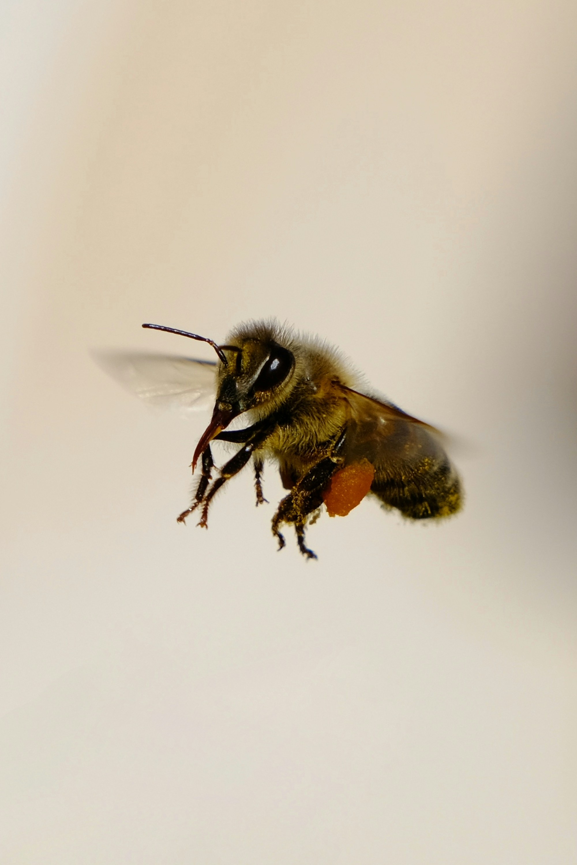 yolo5 (yolo5-vtdpn) - Roboflow Universe