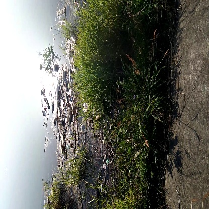 floating Object Detection Model by iot