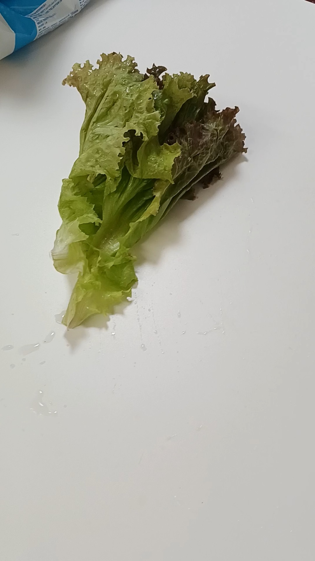 Lettuce Object Detection Dataset And Pre Trained Model By Object 5005
