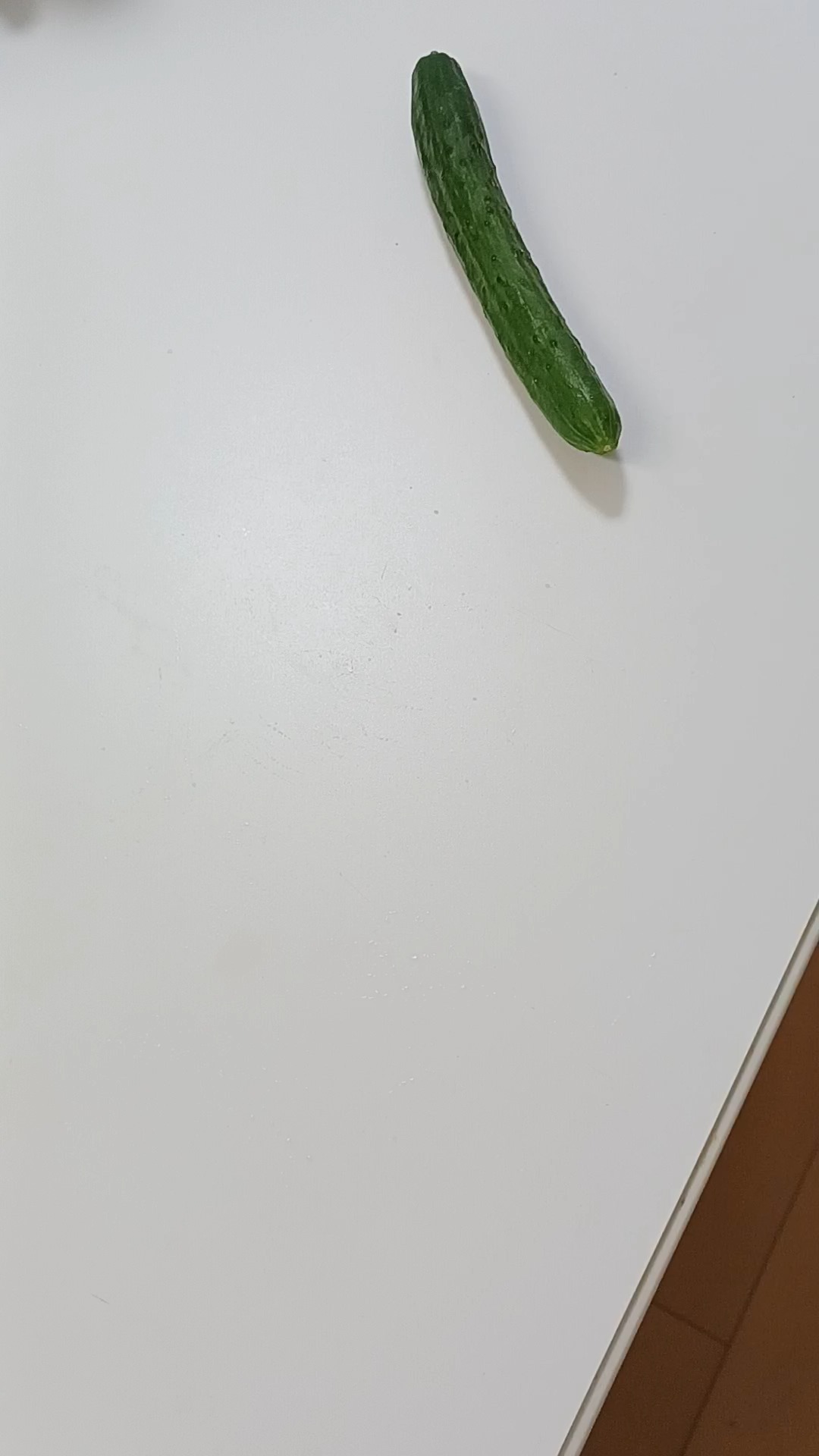 Cucumber Object Detection Dataset And Pre Trained Model By Object