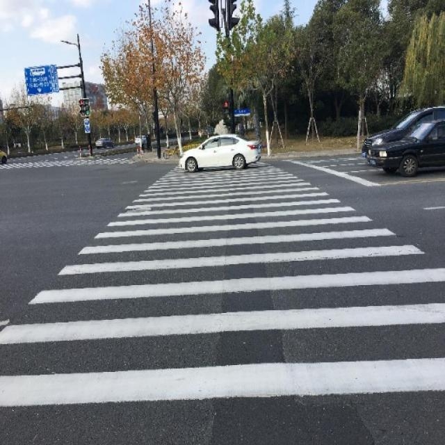 zebra-crossing Object Detection Model by detection
