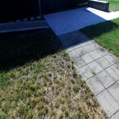 Hardscape Classifier Classification Model by Alex Wong Public Library