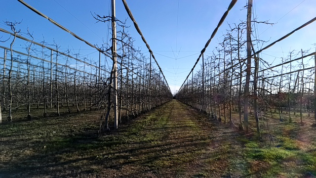 serrater_ground_detection Instance Segmentation Dataset by EUT