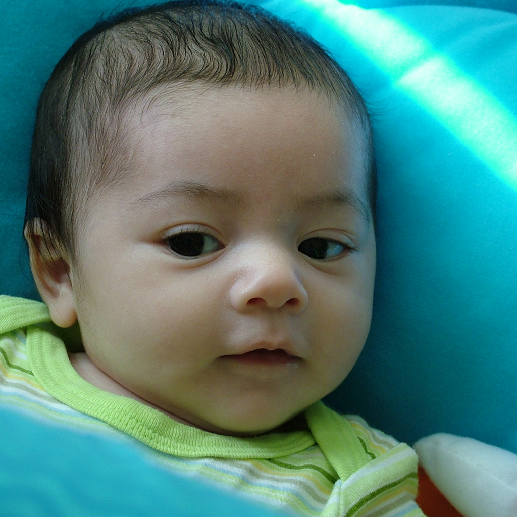 Faces Object Detection Dataset by wsdms