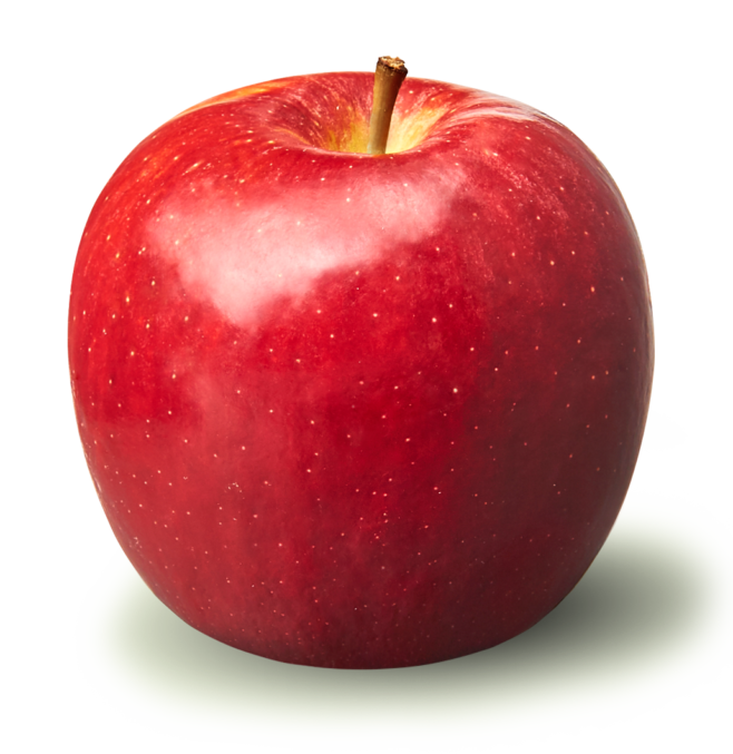 How to Use the Apple_MachineLearning Object Detection API