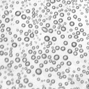 Bubbles Classification Dataset and Pre-Trained Model by NSU