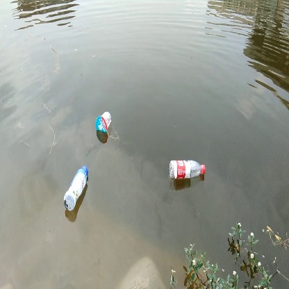 My First Project Object Detection Dataset by Detection