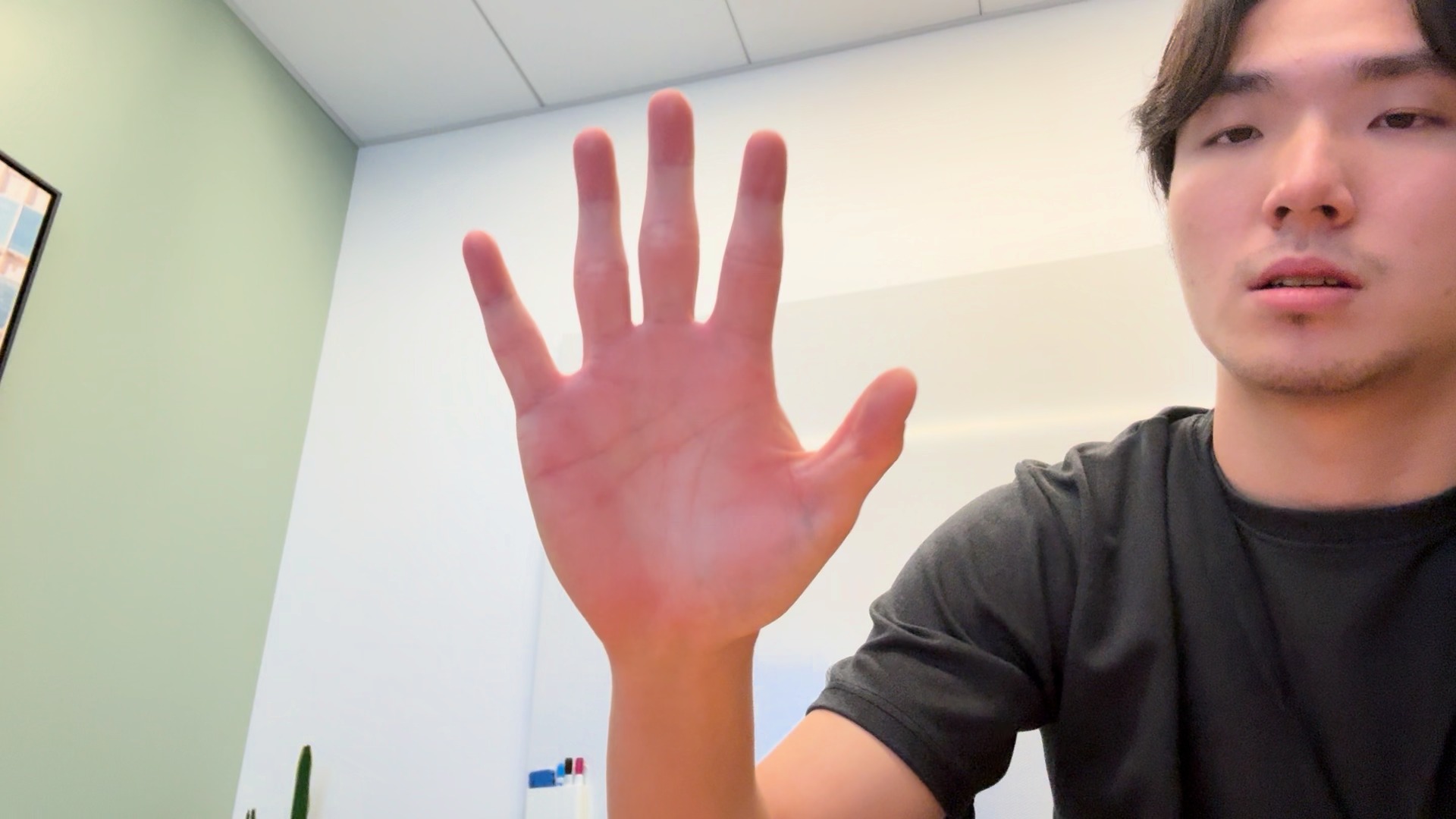 Sign Recoginition Object Detection Dataset By Rayase